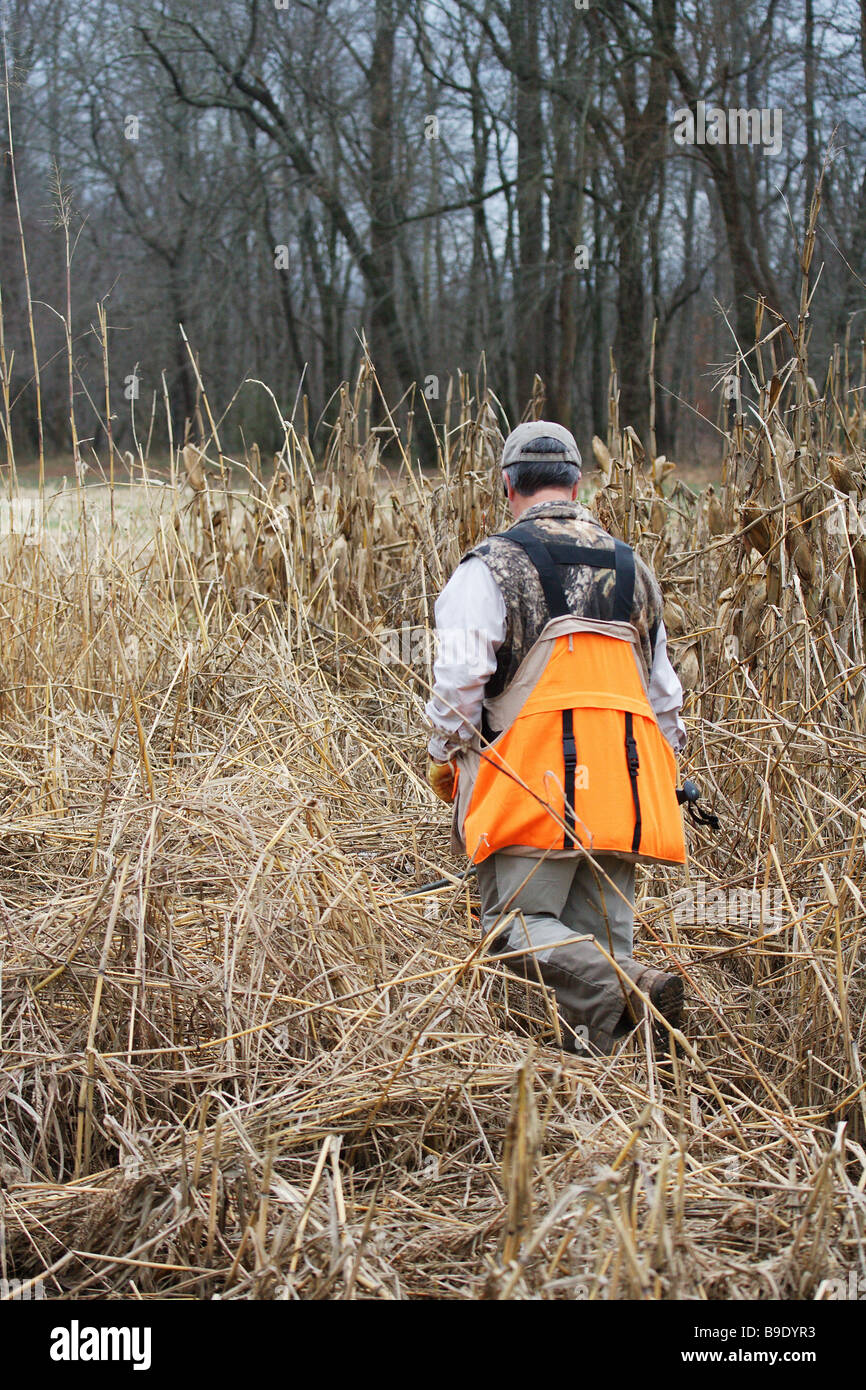HUNTING GUIDE WALKING AN OPEN FIELD CABELLAS ORANGE CARRY VEST BROWNING ...