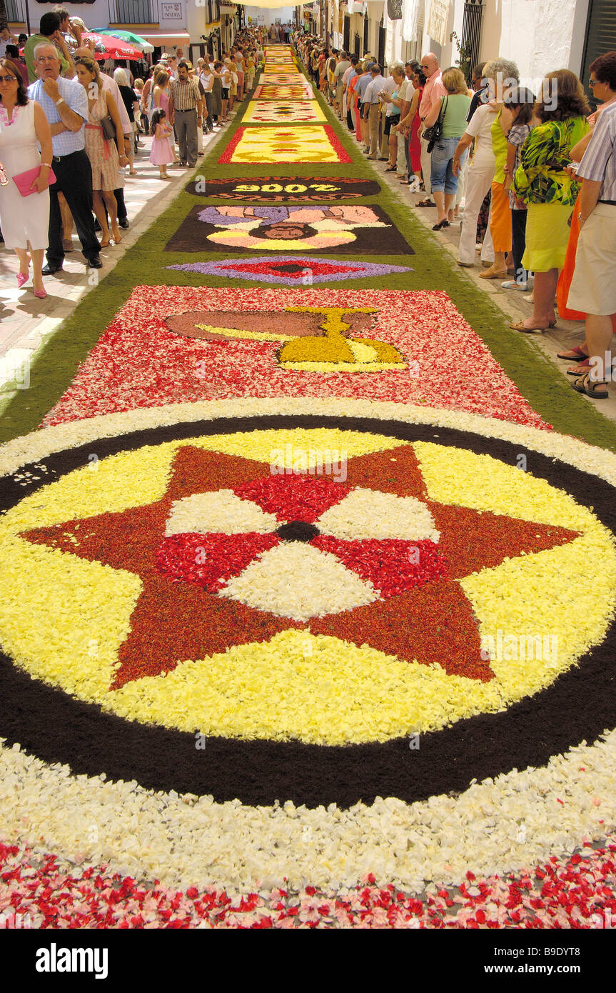 Traditional flower carpets during Corpus Christi celebration ...