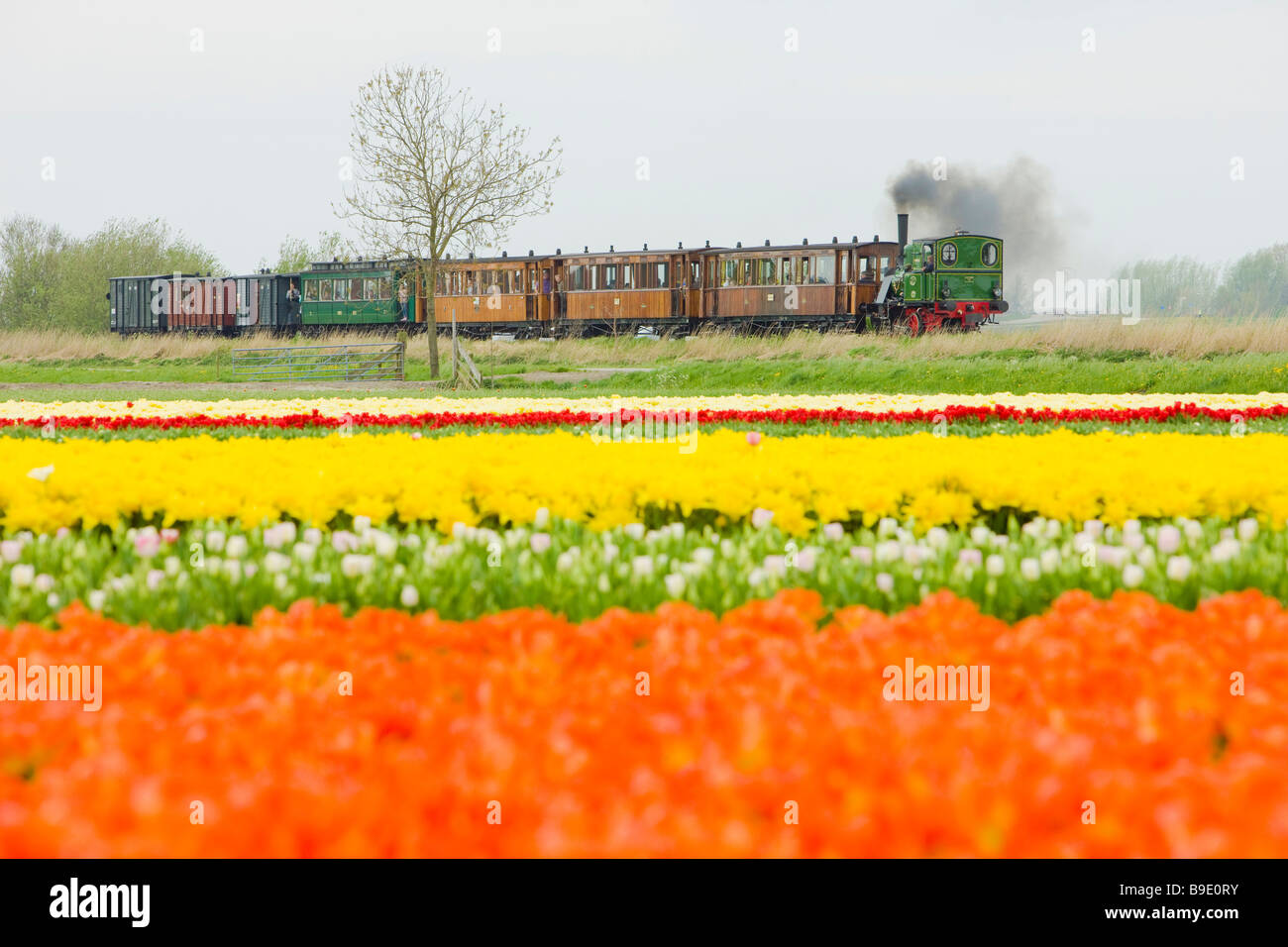 steam train Hoorn Medemblik Noord Holland Netherlands Stock Photo - Alamy