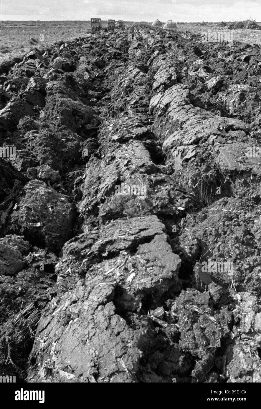 Tractors ploughing drained lands in the state farm of Novoye Polesye ...