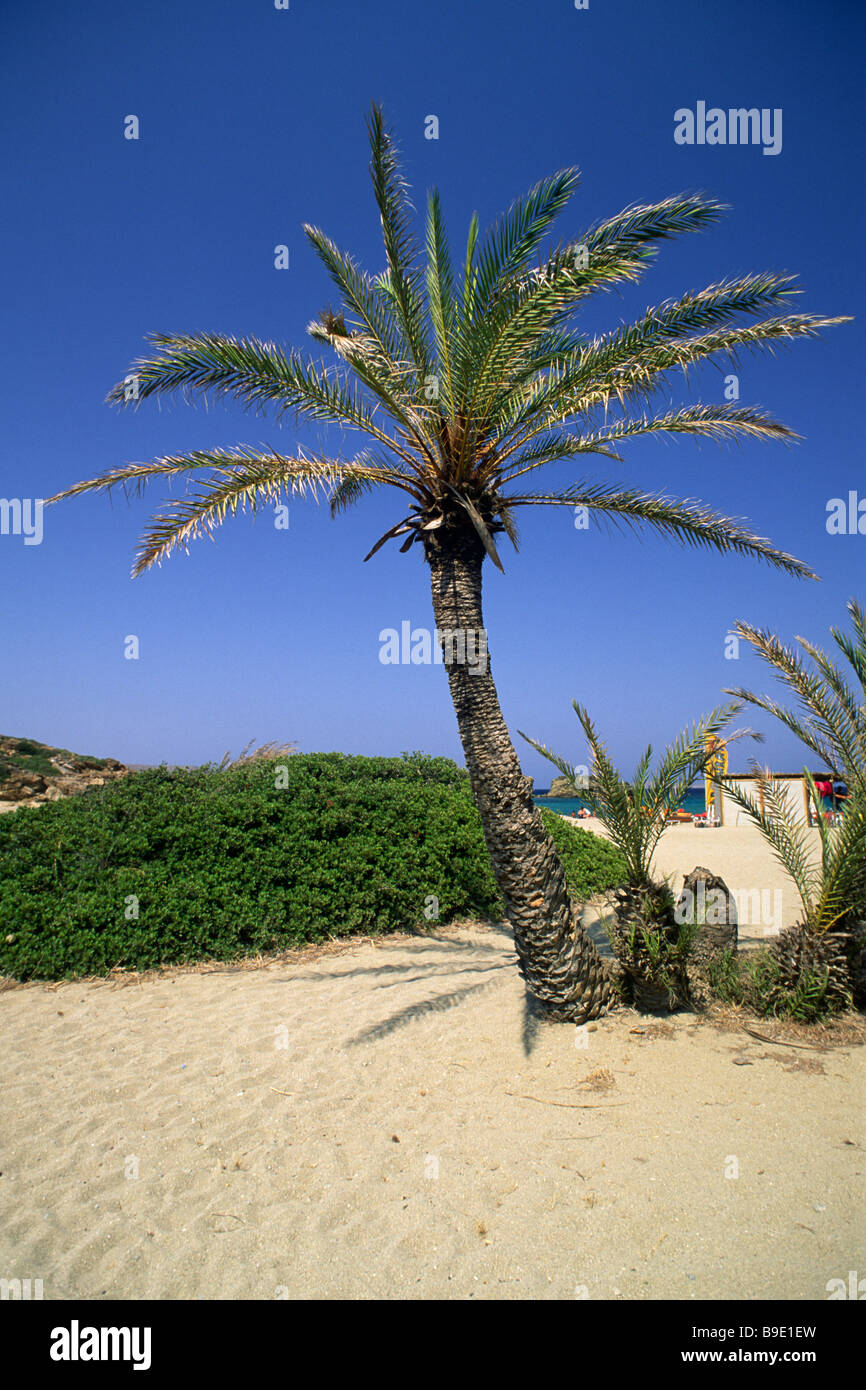 Crete greece vai beach nobody hi-res stock photography and images - Alamy