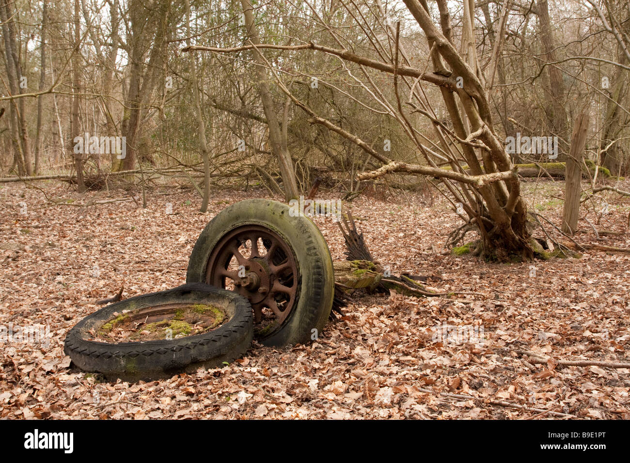 Two old and decaying wheels in a woodland Stock Photo - Alamy