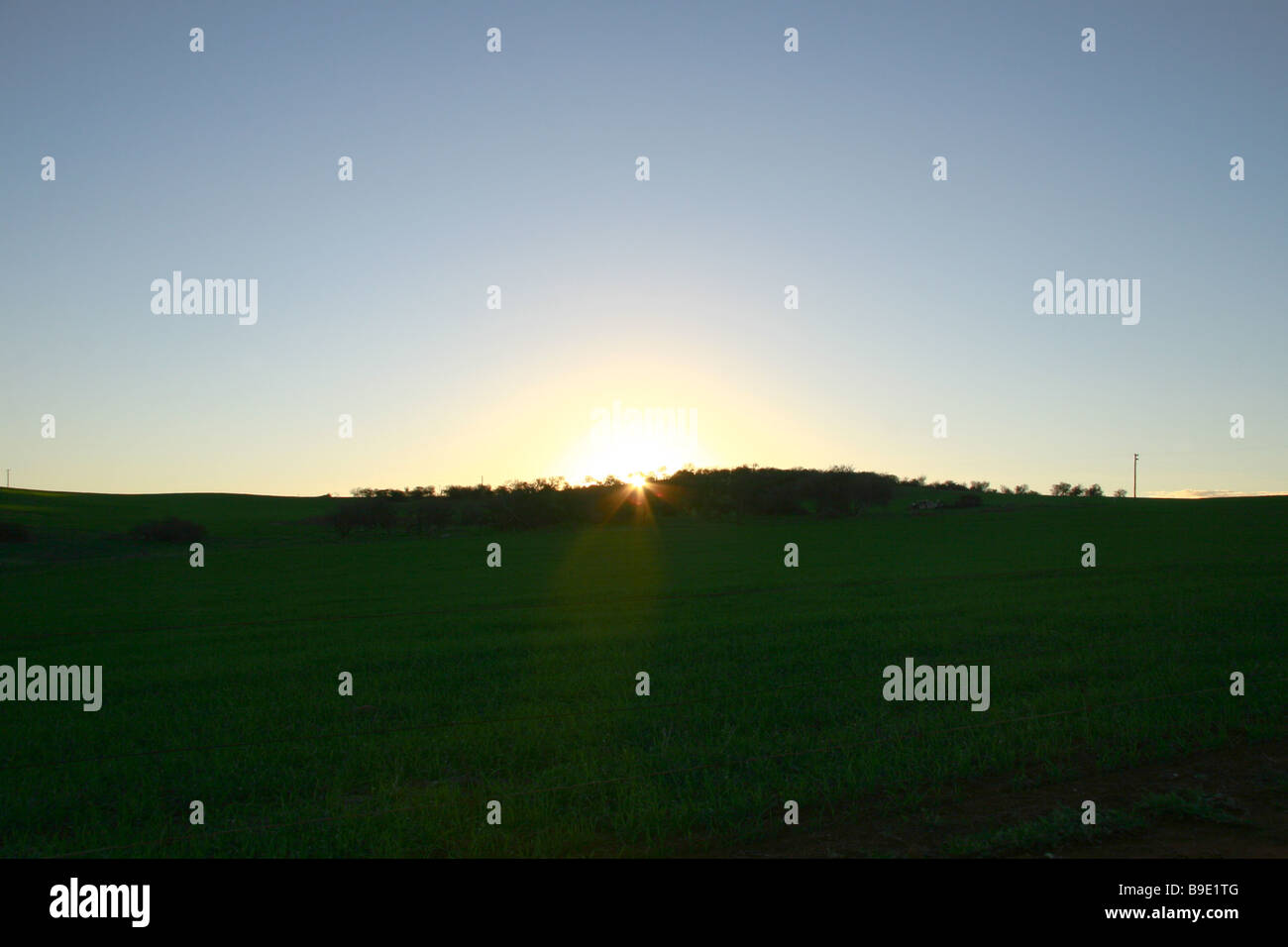 Sowed hi-res stock photography and images - Alamy