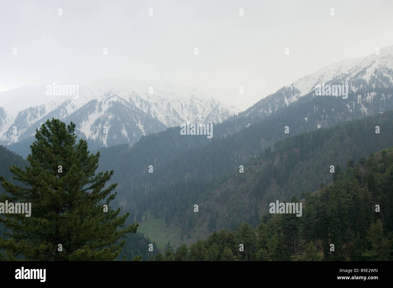 Panoramic view of a mountain, Gulmarg, Jammu And Kashmir, India Stock ...