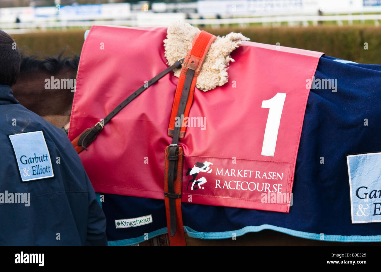 A thoroughbred racehorse being led around the paddock before a hurdle ...