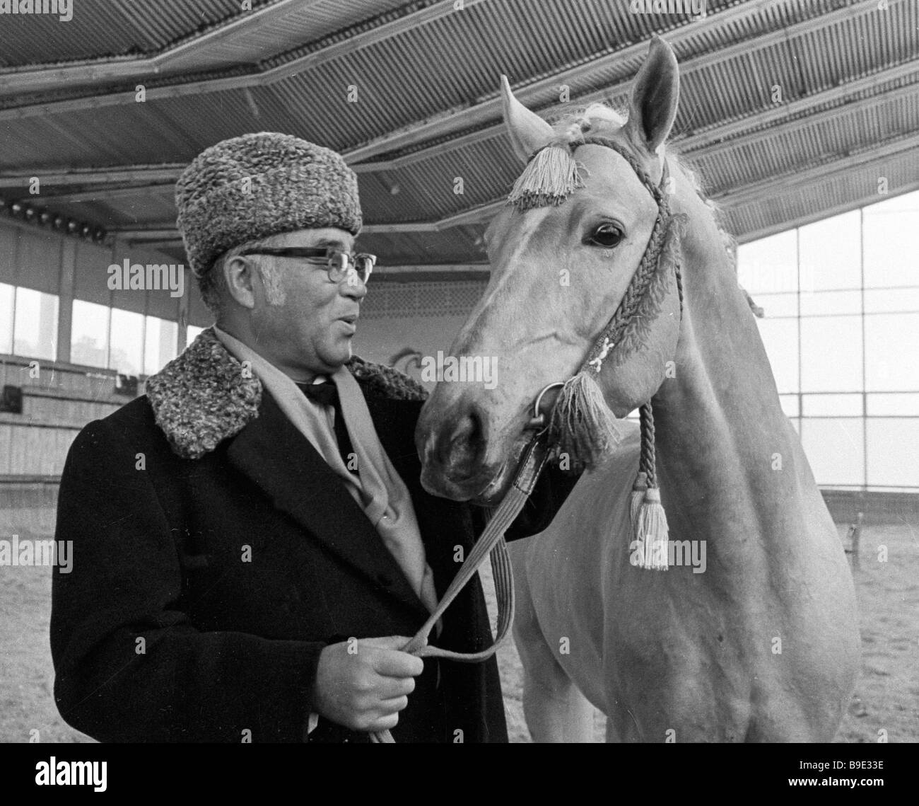 A pedigree stallion of the Budyonny breed reared at the Moscow stud ...