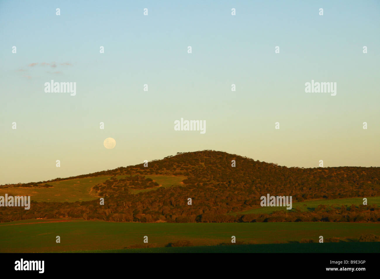 Rising bush hi-res stock photography and images - Alamy