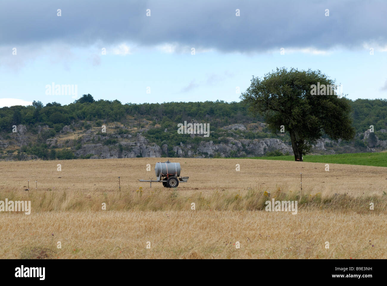 field, crop, agriculture Stock Photo - Alamy