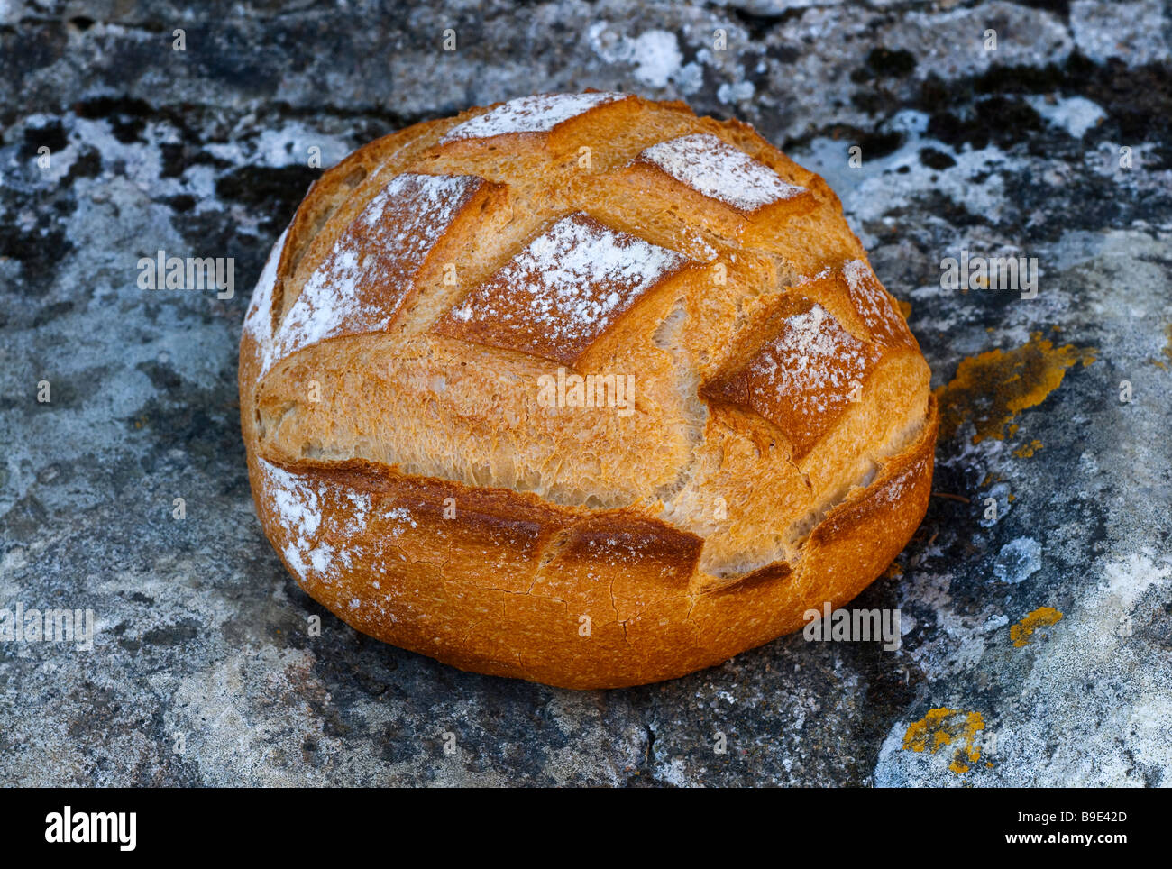 Fresh French "Petite Boule" loaf Stock Photo - Alamy