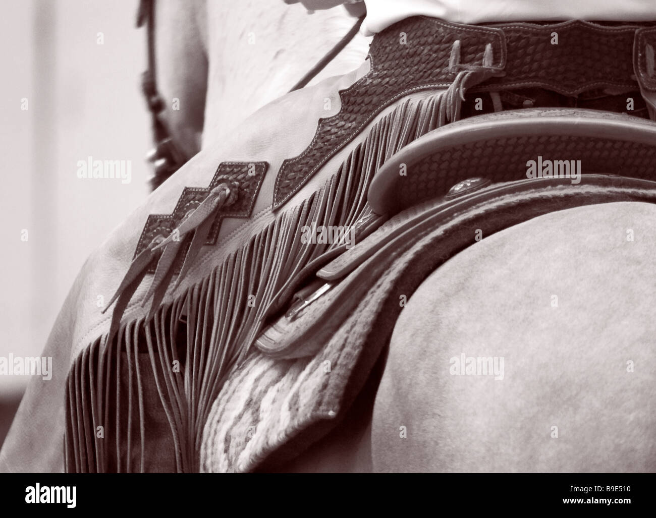 Rodeo cutting hi-res stock photography and images - Alamy