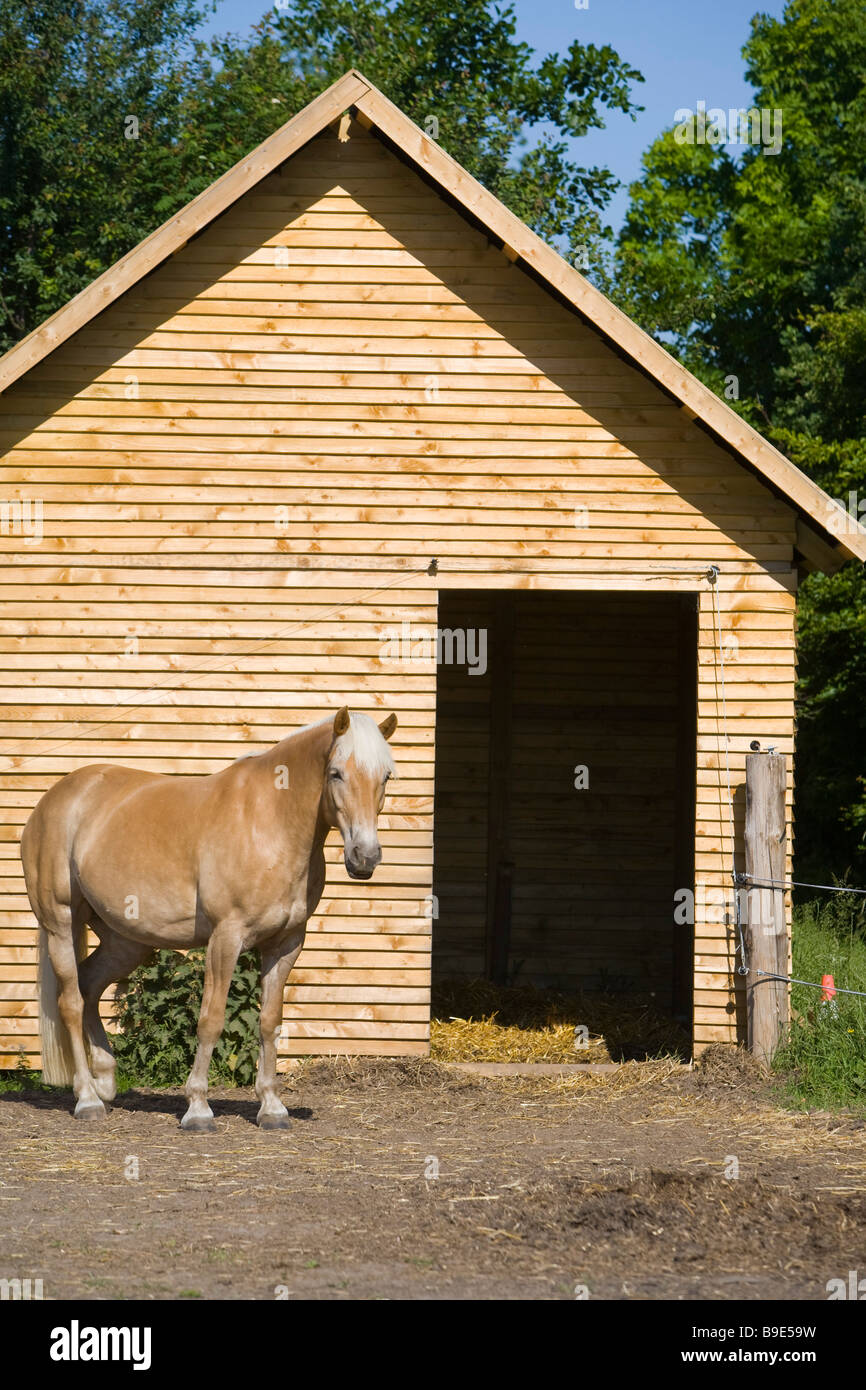 Marstal denmark hi-res stock photography and images - Alamy