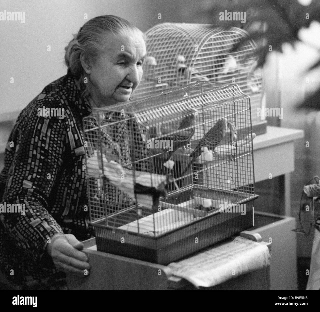 The 80 year old Fekla Tsuranova watching inhabitants of the pets corner ...