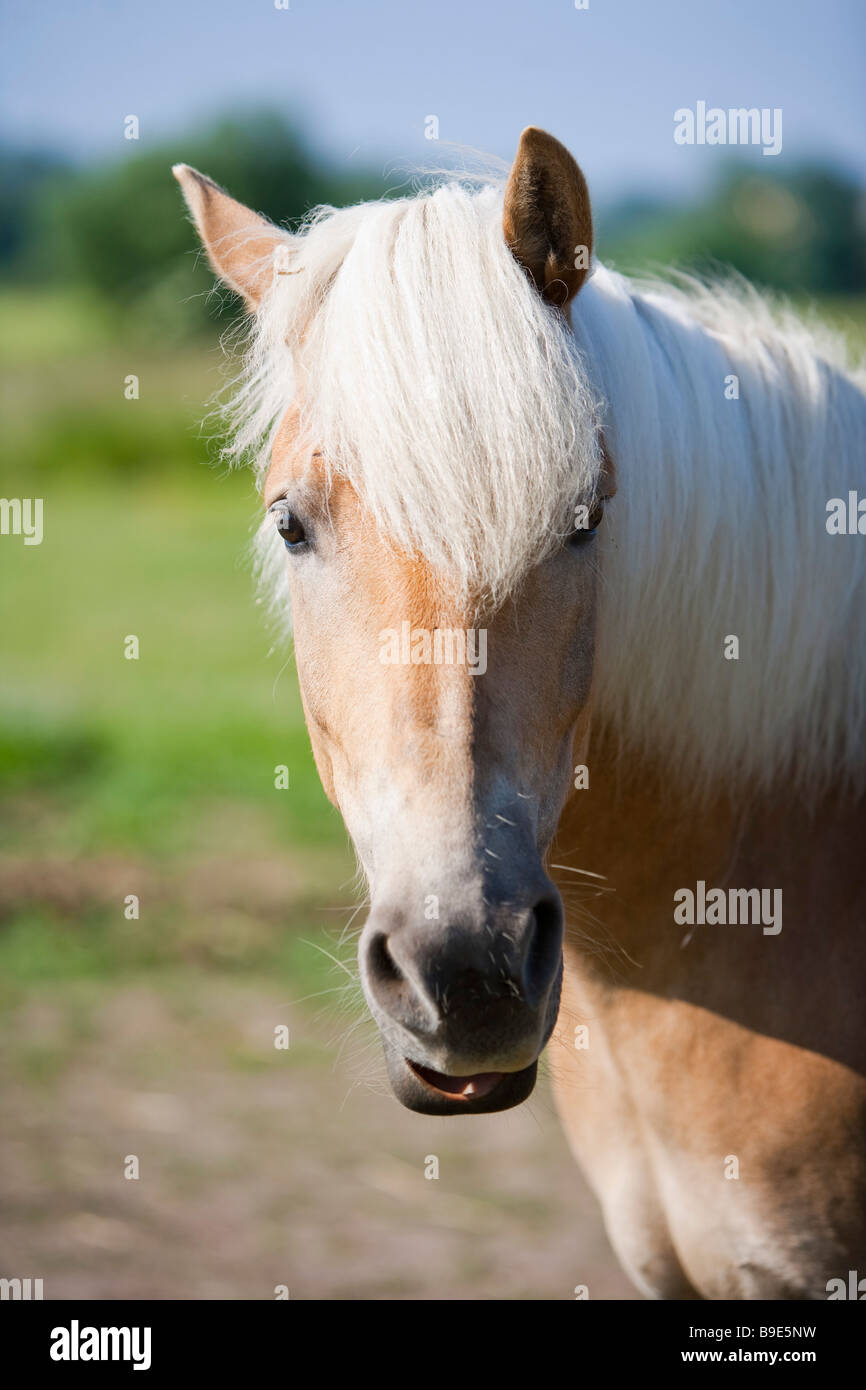 Marstal, denmark hi-res stock photography and images - Alamy