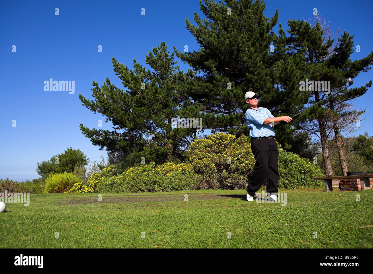 Man playing golf Stock Photo - Alamy