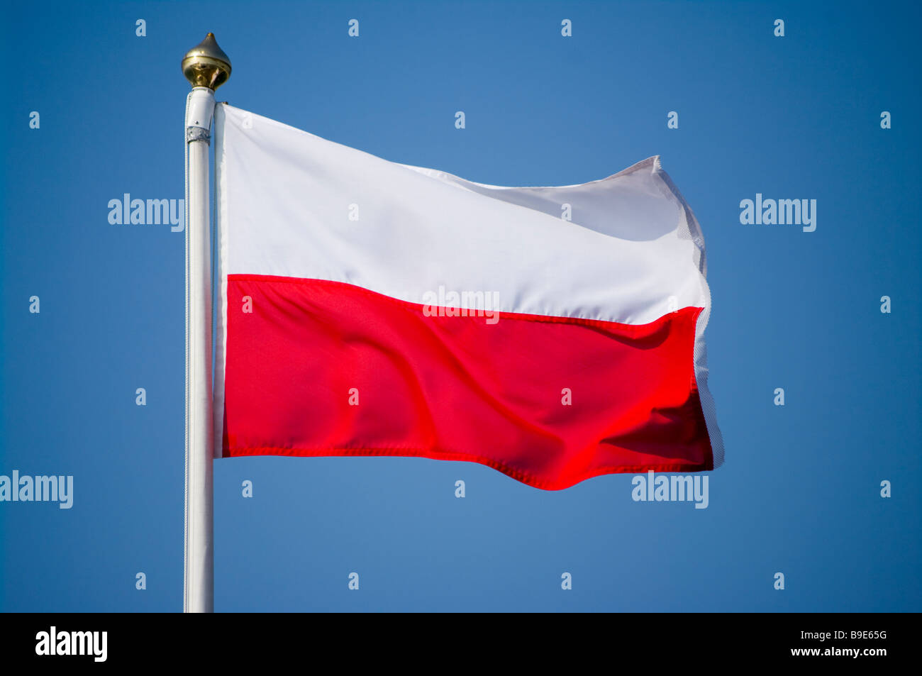 Polish flag hi-res stock photography and images - Alamy