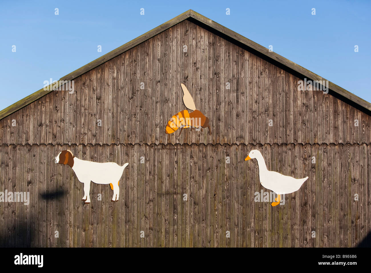 Denmark Zealand Møn island farm bee goose goat Stock Photo - Alamy