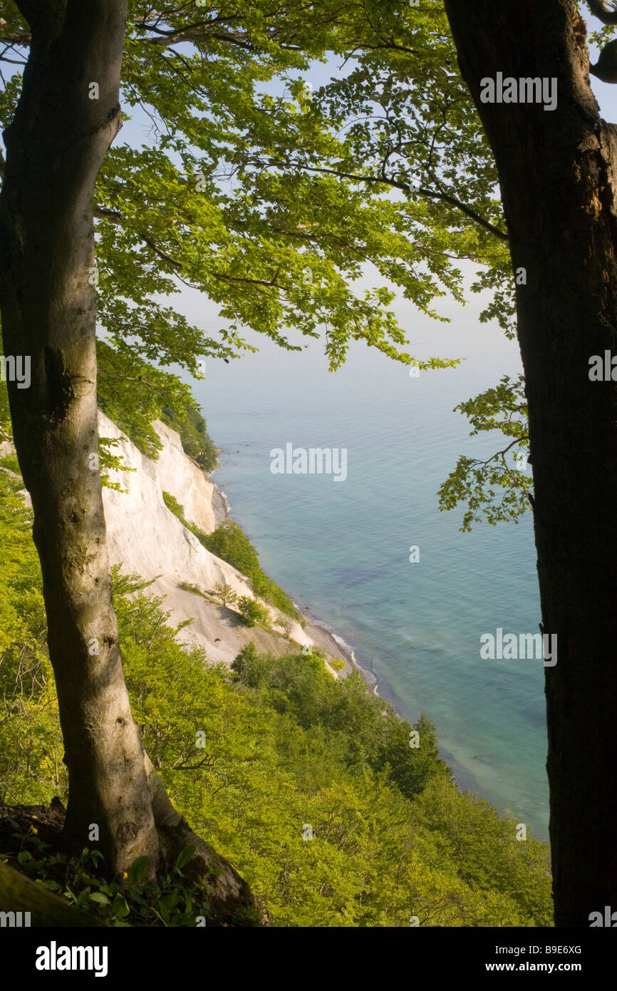 Mon denmark cliff hi-res stock photography and images - Alamy