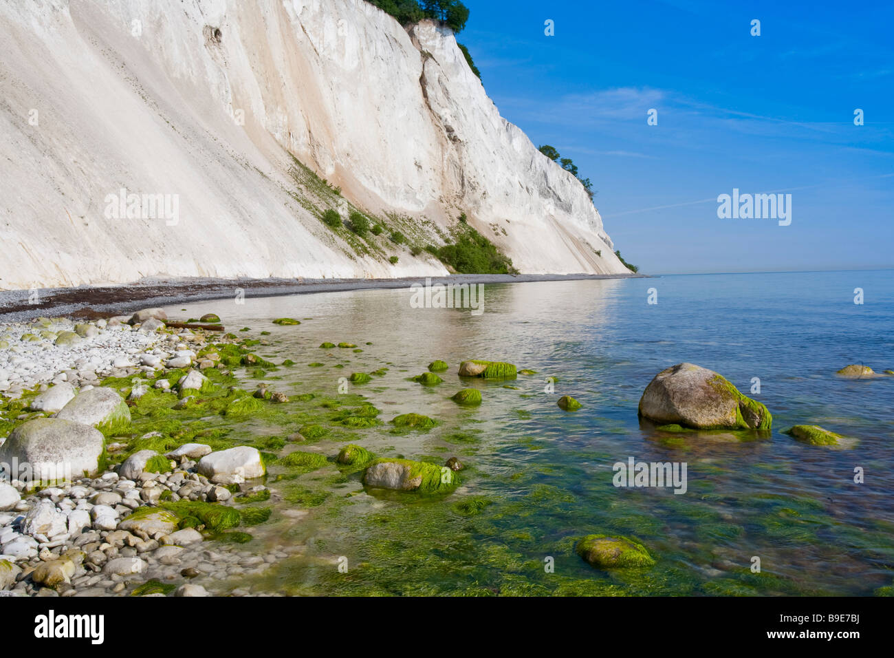 Mon denmark cliff hi-res stock photography and images - Alamy