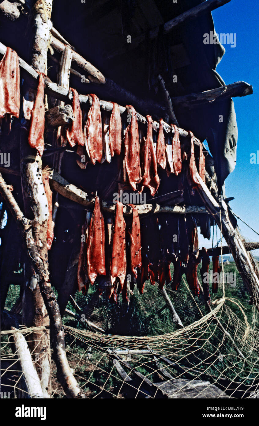 Dry fish yukola the Kamchatka Peninsula Stock Photo - Alamy