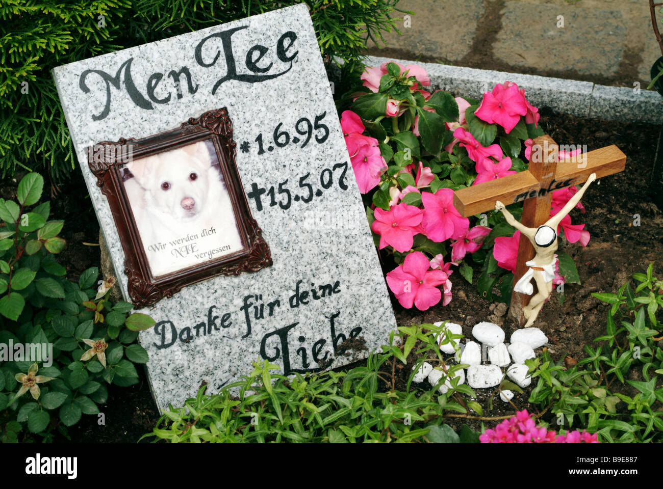 Dog gravestone hi-res stock photography and images - Alamy
