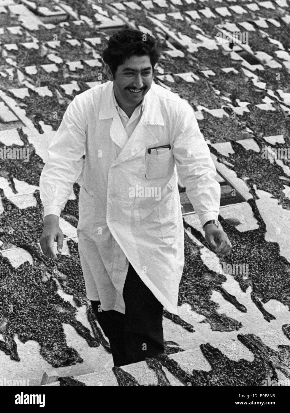 Laboratory manager of the Bukhara Caracul factory with the lamb skins ...