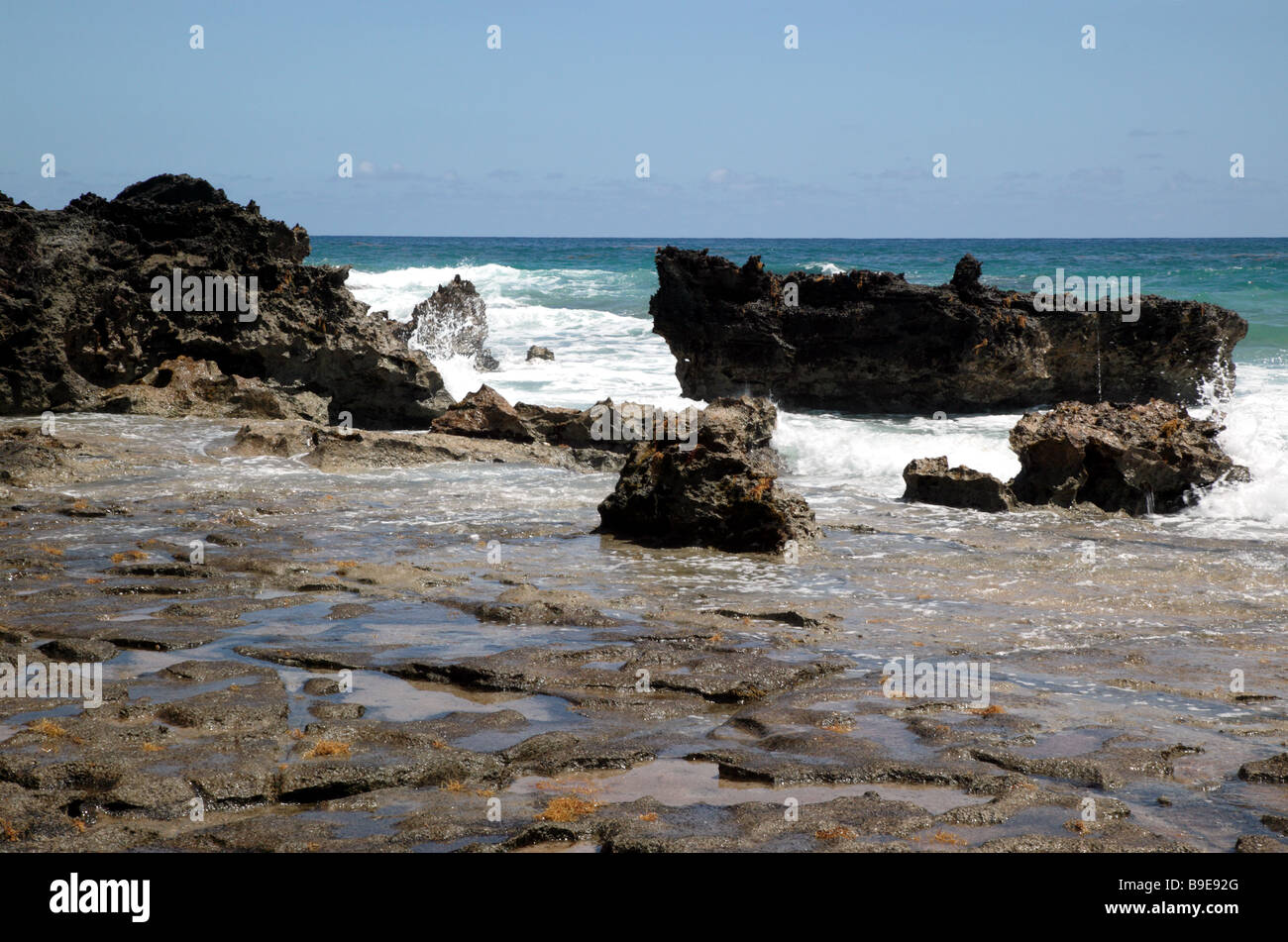 Rugged coastal scenery near Palm Grove Gardens, Devonshire Parish Stock ...
