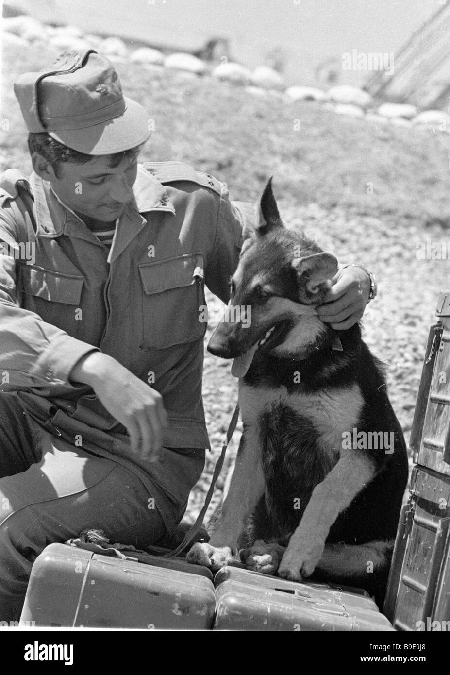 A border guard training his shepherd dog to check cars Stock Photo - Alamy