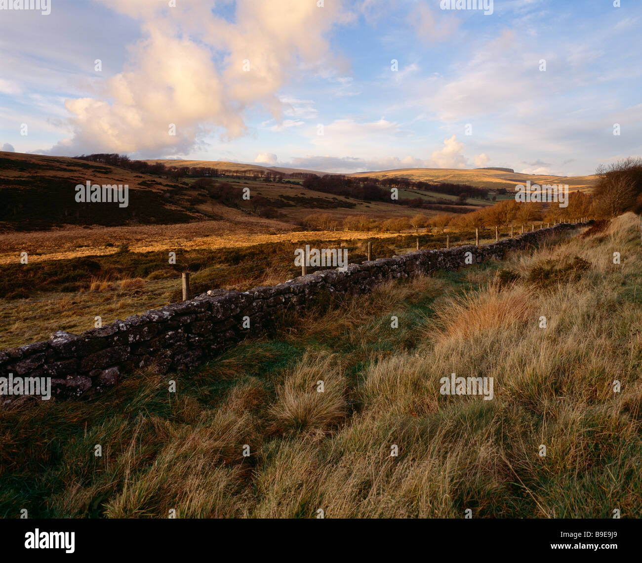 Autumn Dartmoor landscape near Postbridge , Devon, England Stock Photo ...