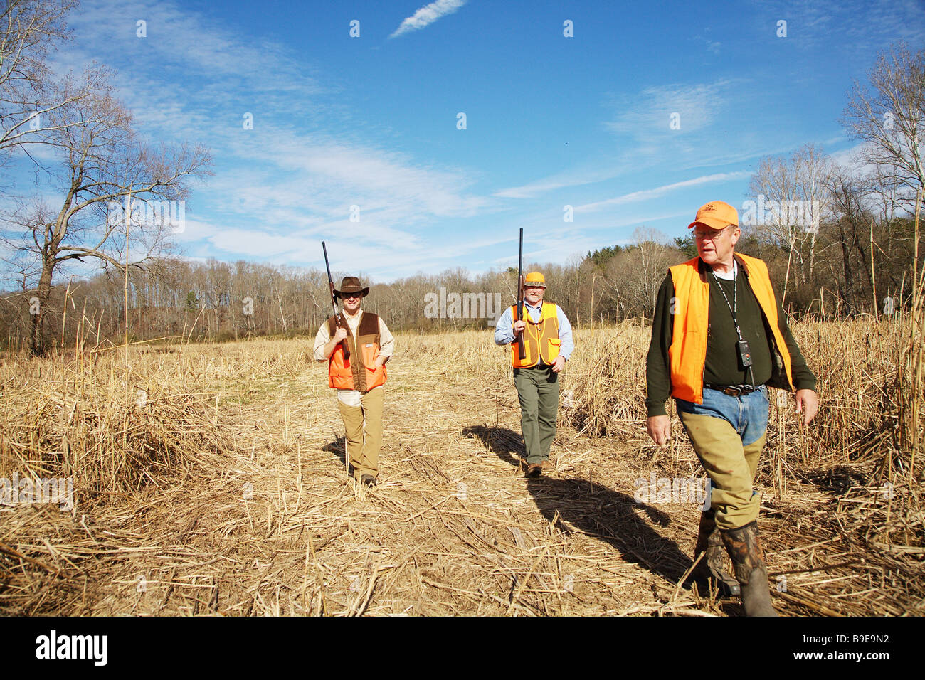 GUIDE LEADS TWO HUNTERS THROUGH FIELD ON QUAIL HUNT FRONT VIEW STOEGER ...