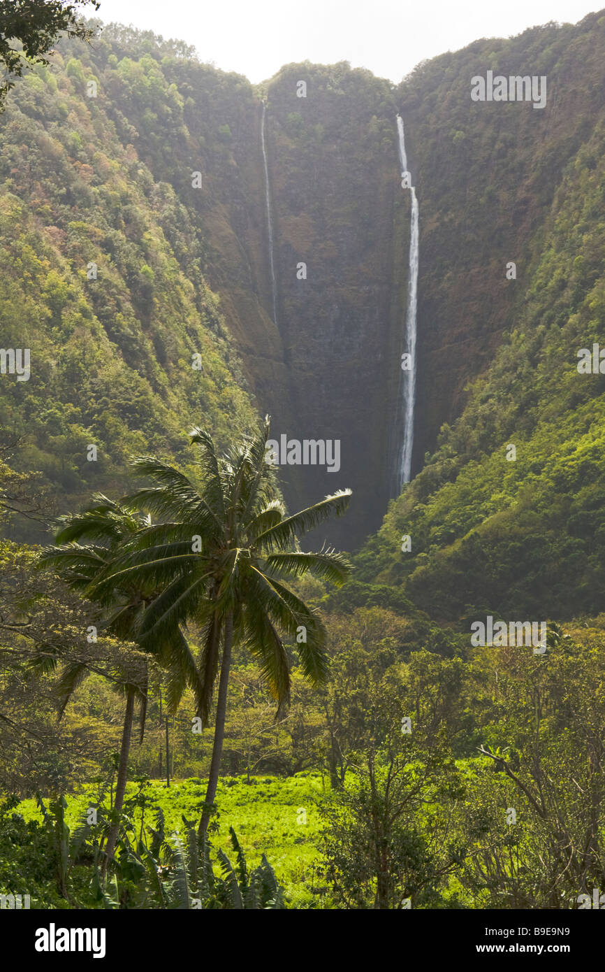 Big island of hawaii hi-res stock photography and images - Alamy