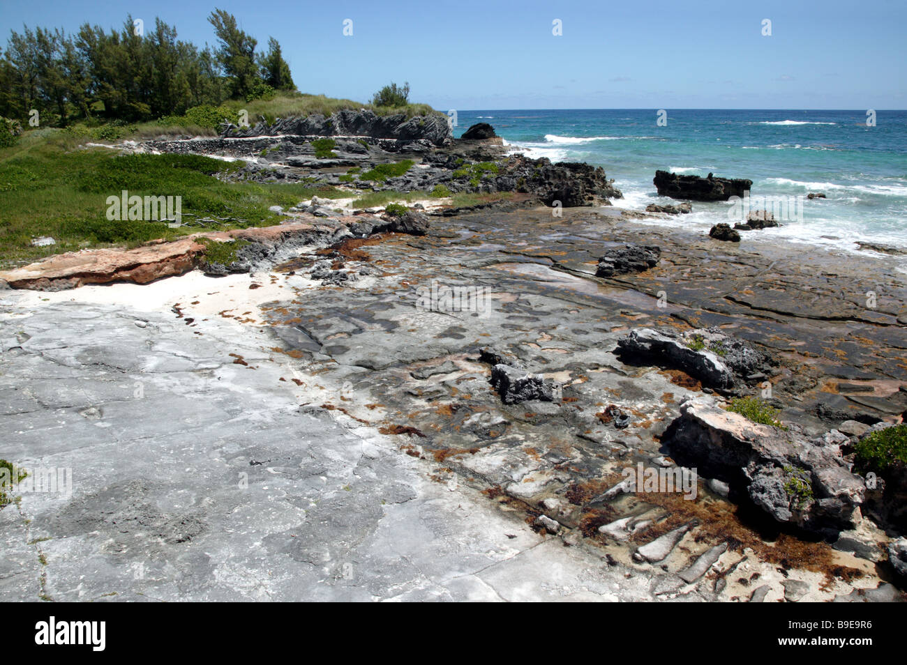 Rugged coastal scenery near Palm Grove Gardens, Devonshire Parish Stock ...