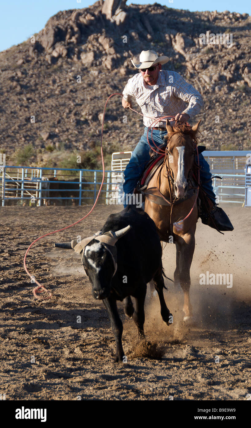 Lasso practice hi-res stock photography and images - Alamy