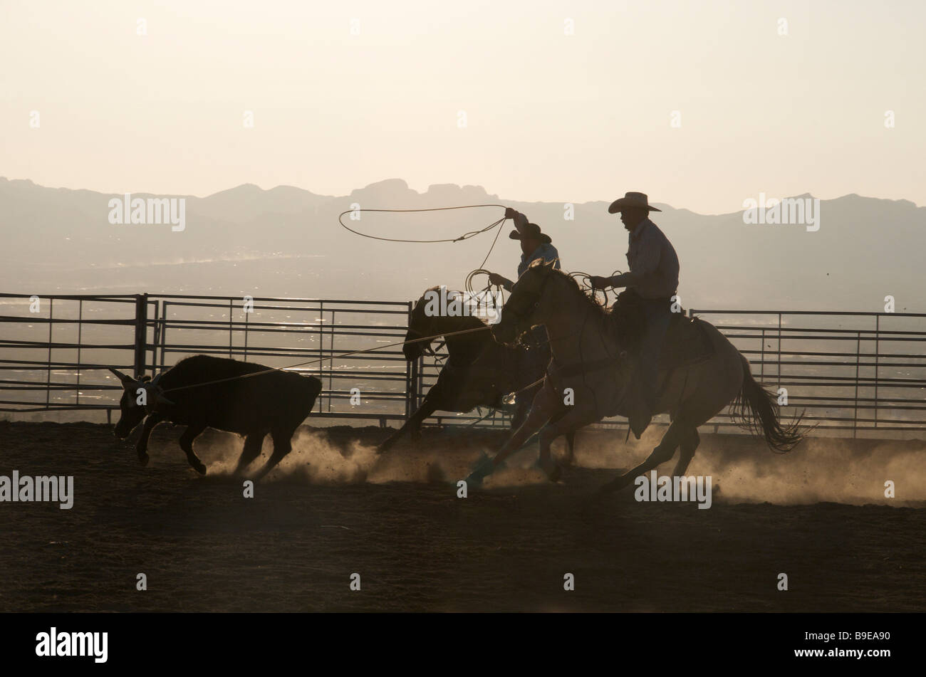 Lassoing High Resolution Stock Photography and Images - Alamy