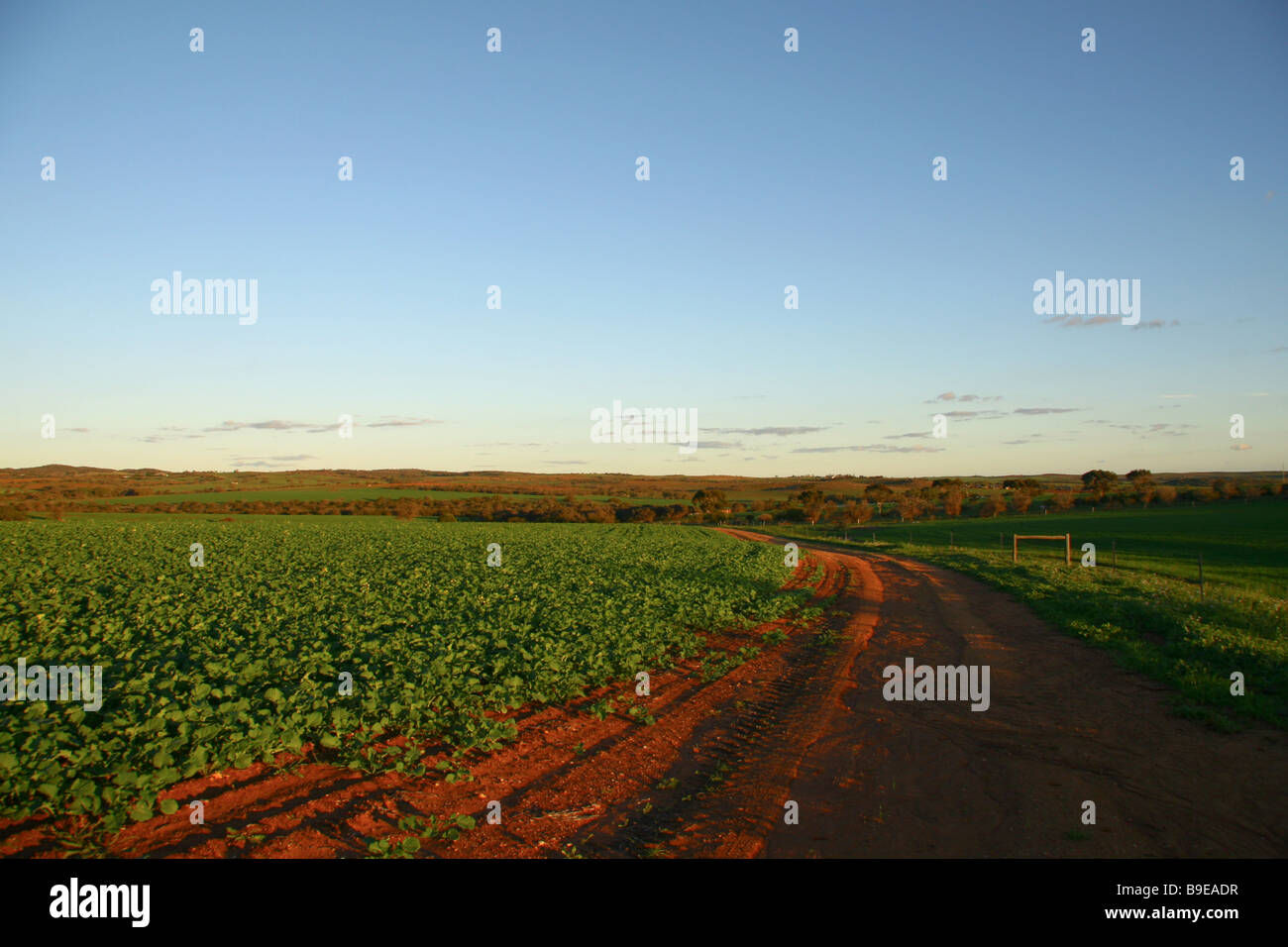 Sunset over farmed land Stock Photo - Alamy