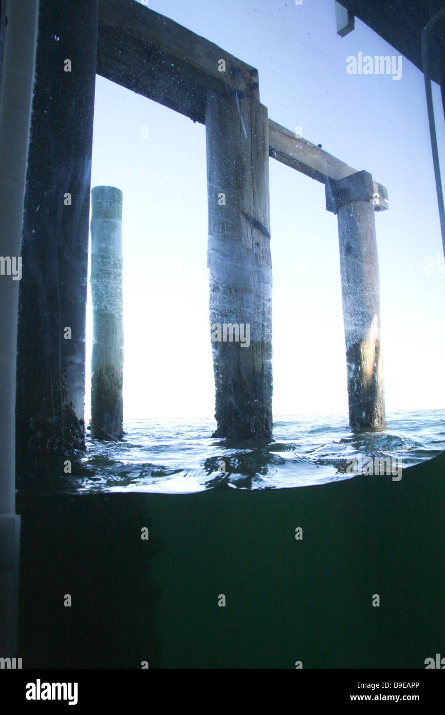 From under the Underwater Observatory at Busselton Stock Photo - Alamy