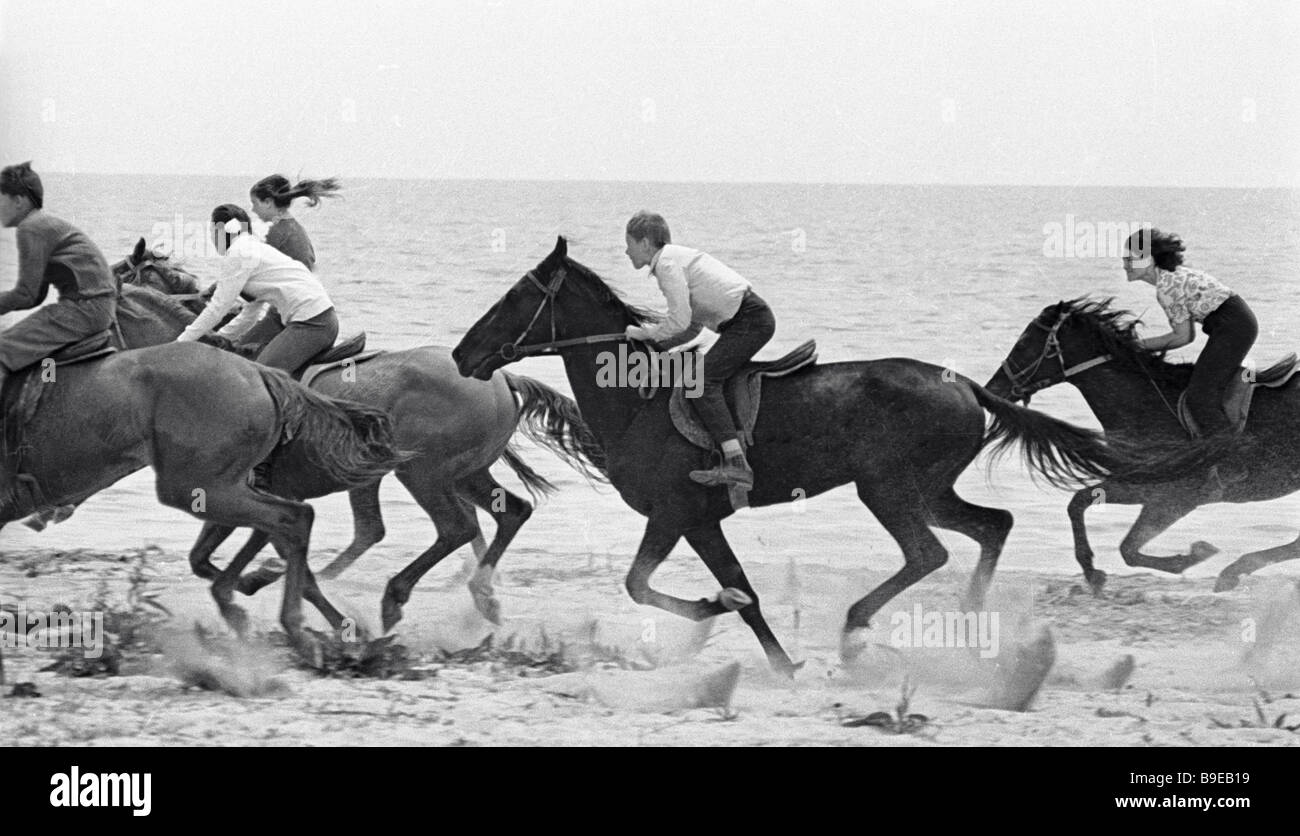 Pedigree horses of Progress state farm Stock Photo - Alamy