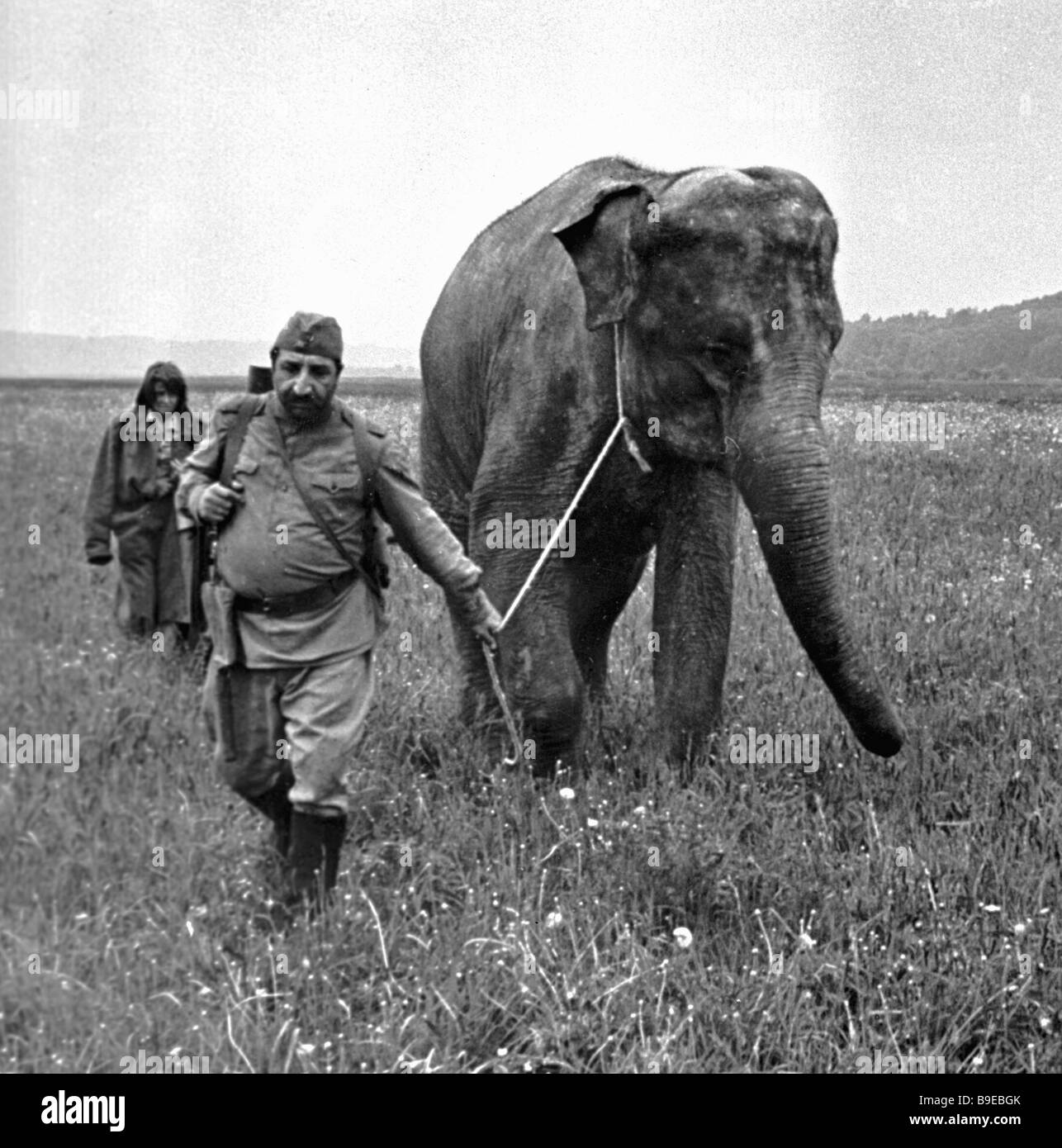Actor Frunzik Mkrtchyan in the feature film Soldier and Elephant the ...