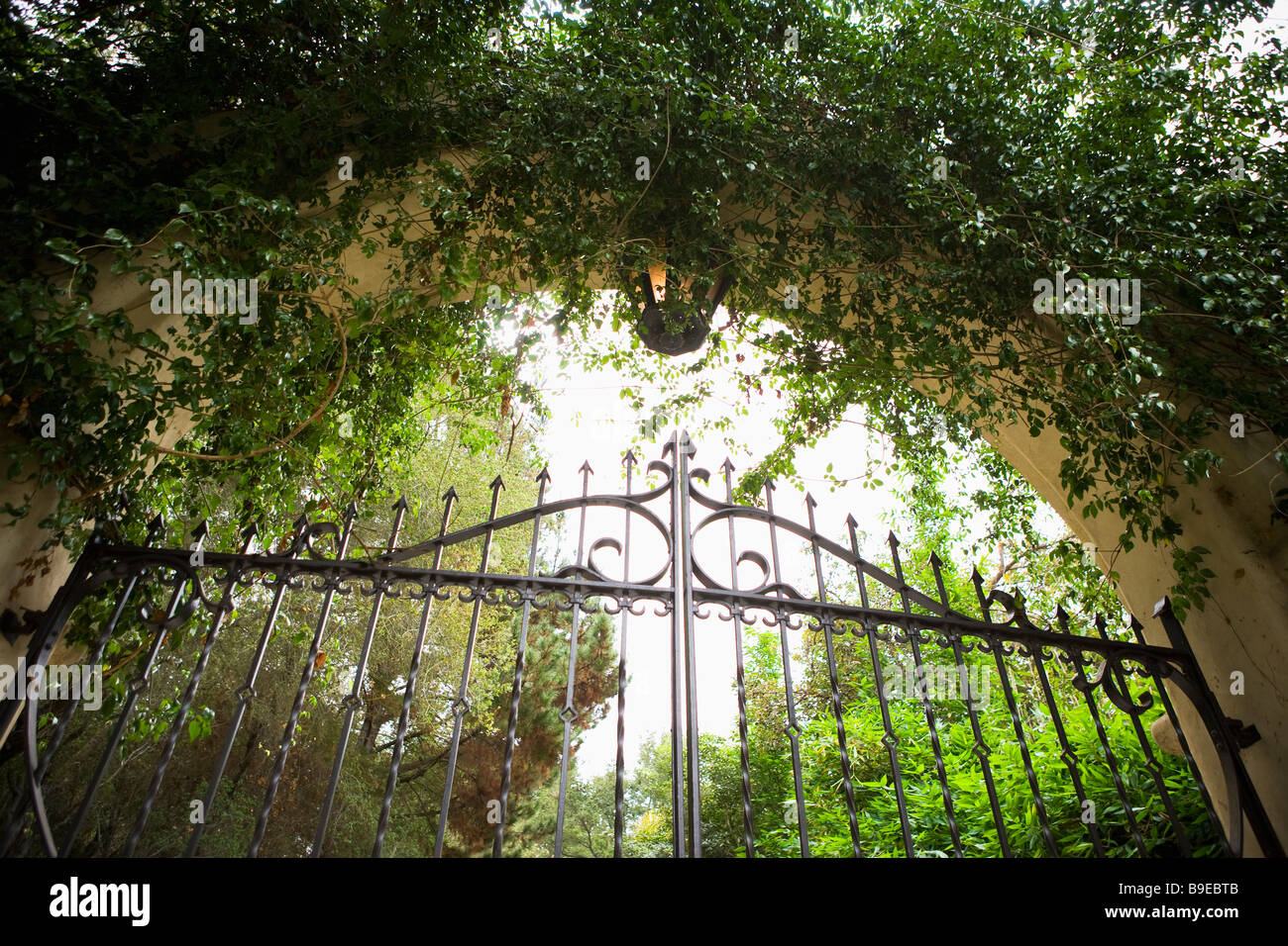 Detail lantern hanging above wrought iron gate Stock Photo - Alamy