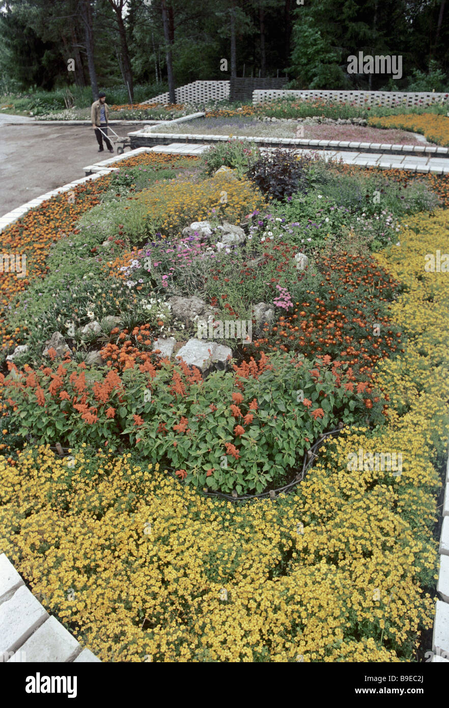 Syktyvkar the Komi Republic s capital owes its botanical gardens to ...