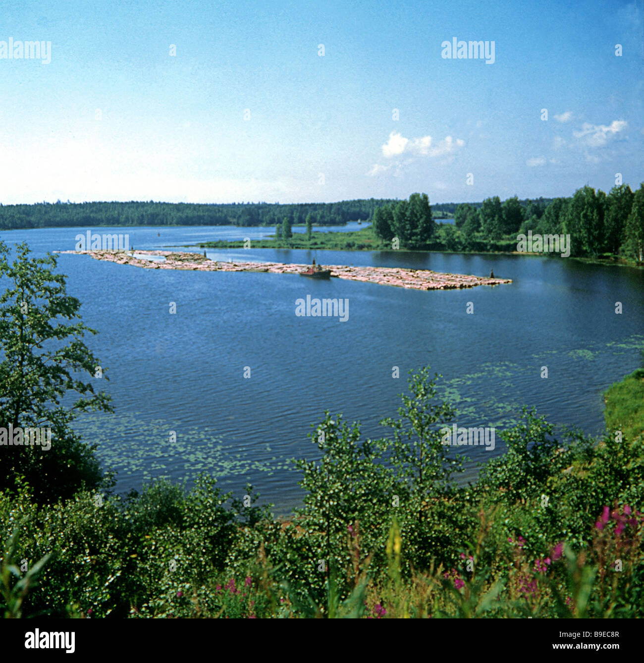 Logs floating down the 55 km Saima Canal linking Lake Saima with the ...
