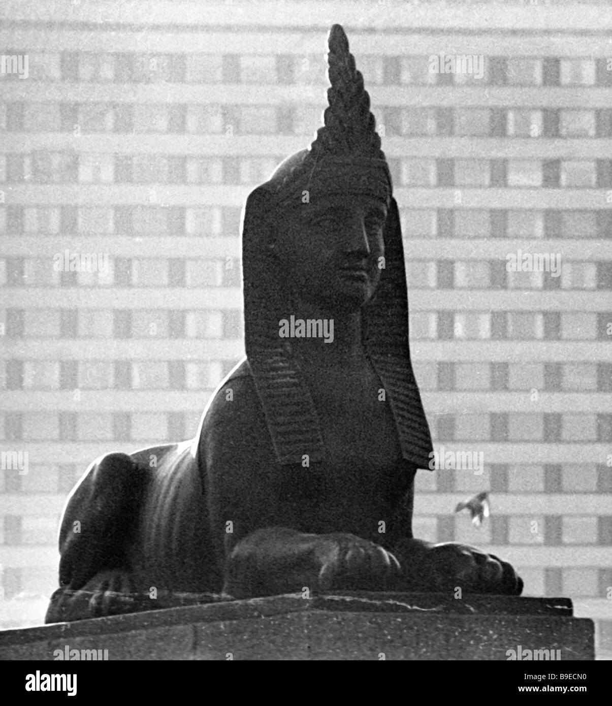Sphinx at the Arts Academy building Stock Photo - Alamy