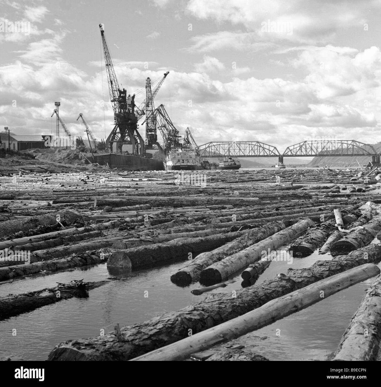 Logs floating downstream Stock Photo - Alamy