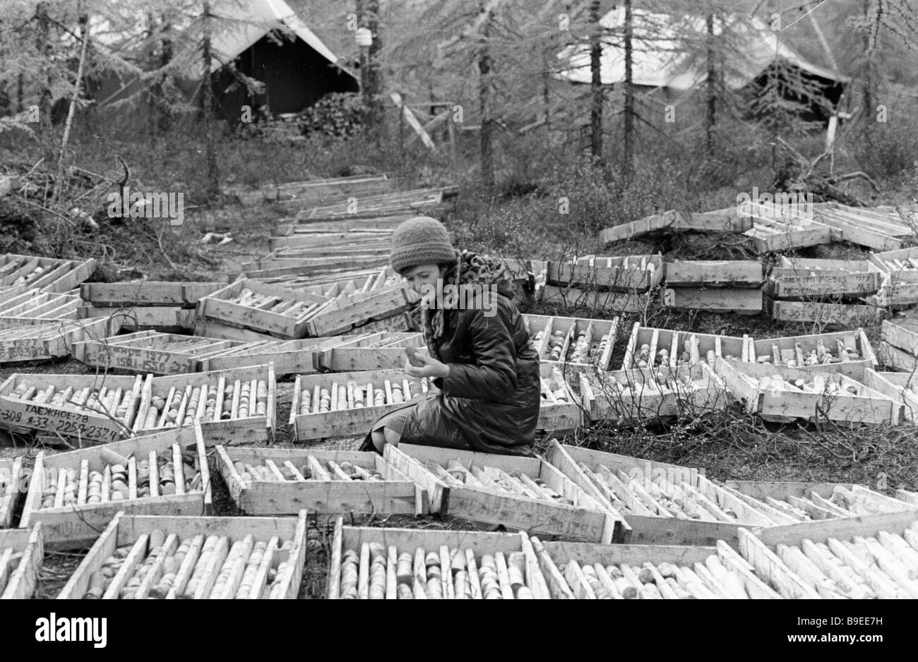 A geologist describing a drilling core Stock Photo - Alamy