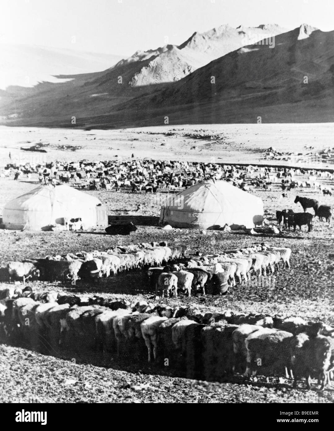 Distant pastures in the South Gobi aimak Stock Photo - Alamy