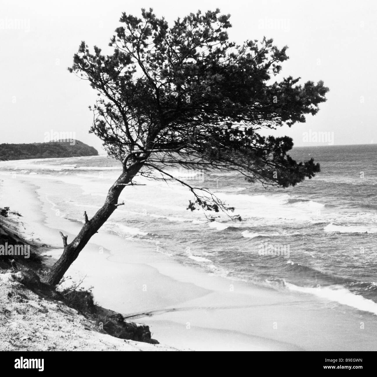 The Baltic coast Stock Photo - Alamy