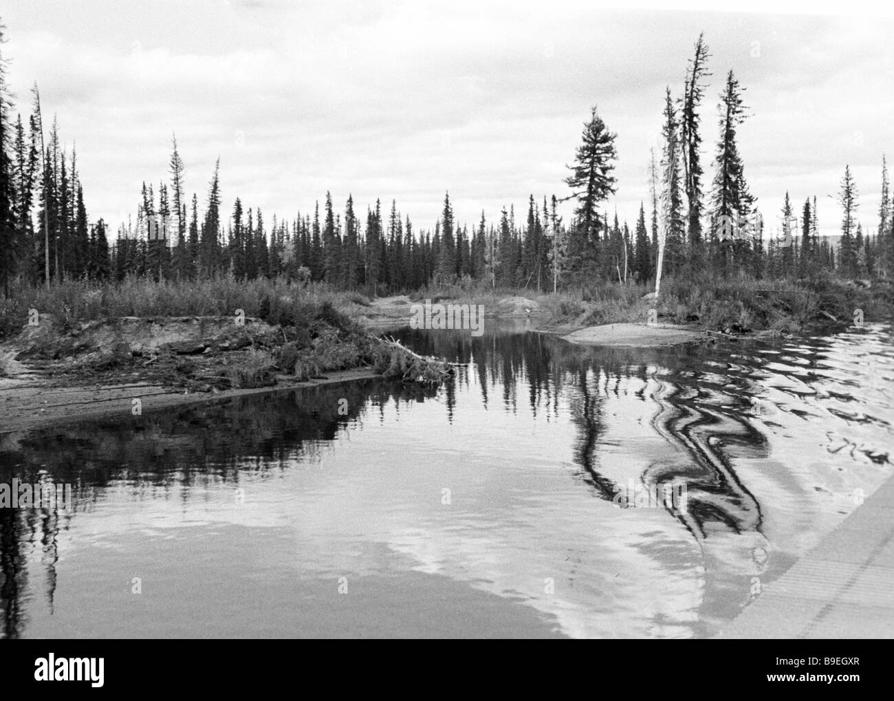 The Tanana River in Alaska Stock Photo - Alamy