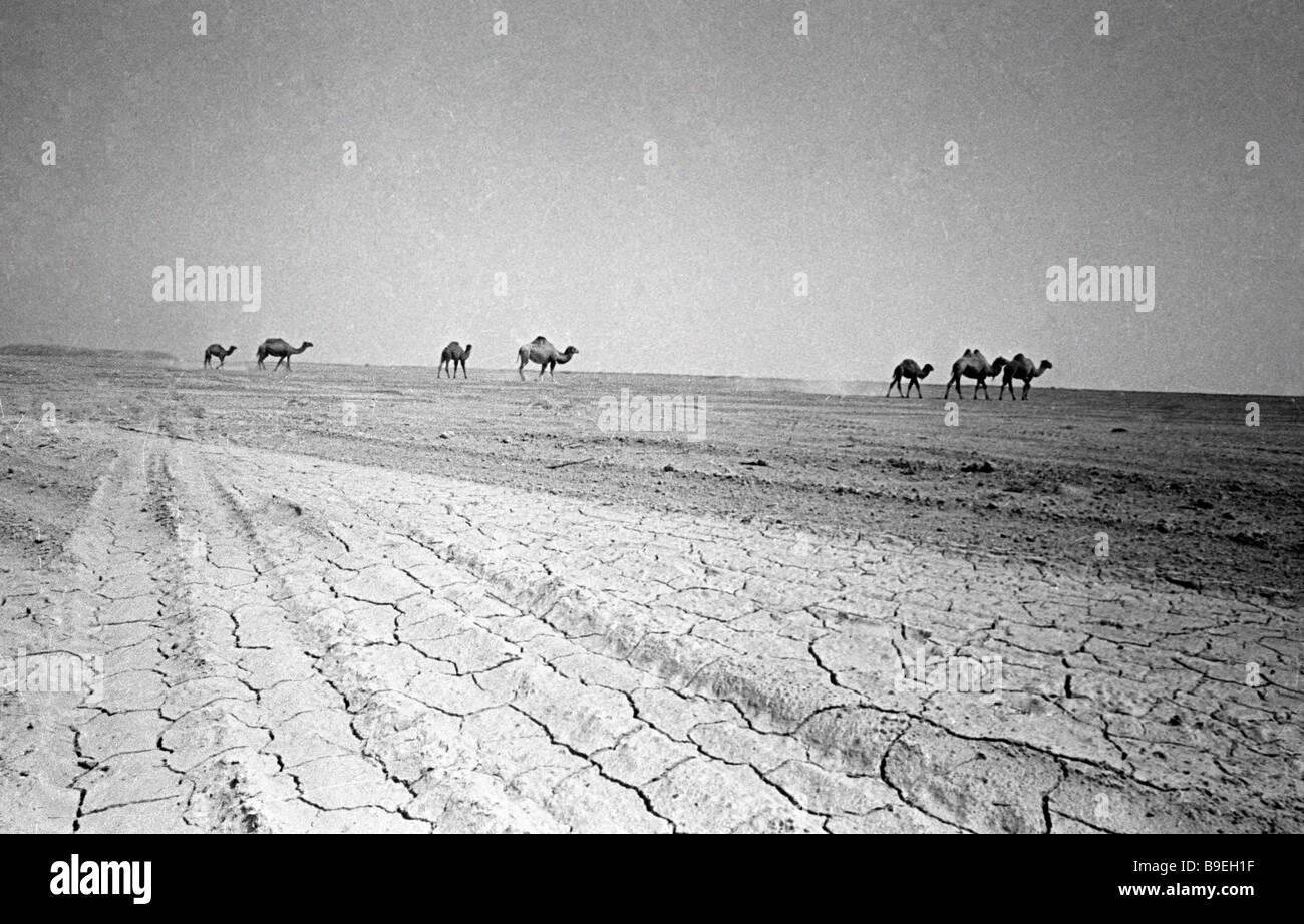 The Sherabad steppe before irrigation Stock Photo - Alamy