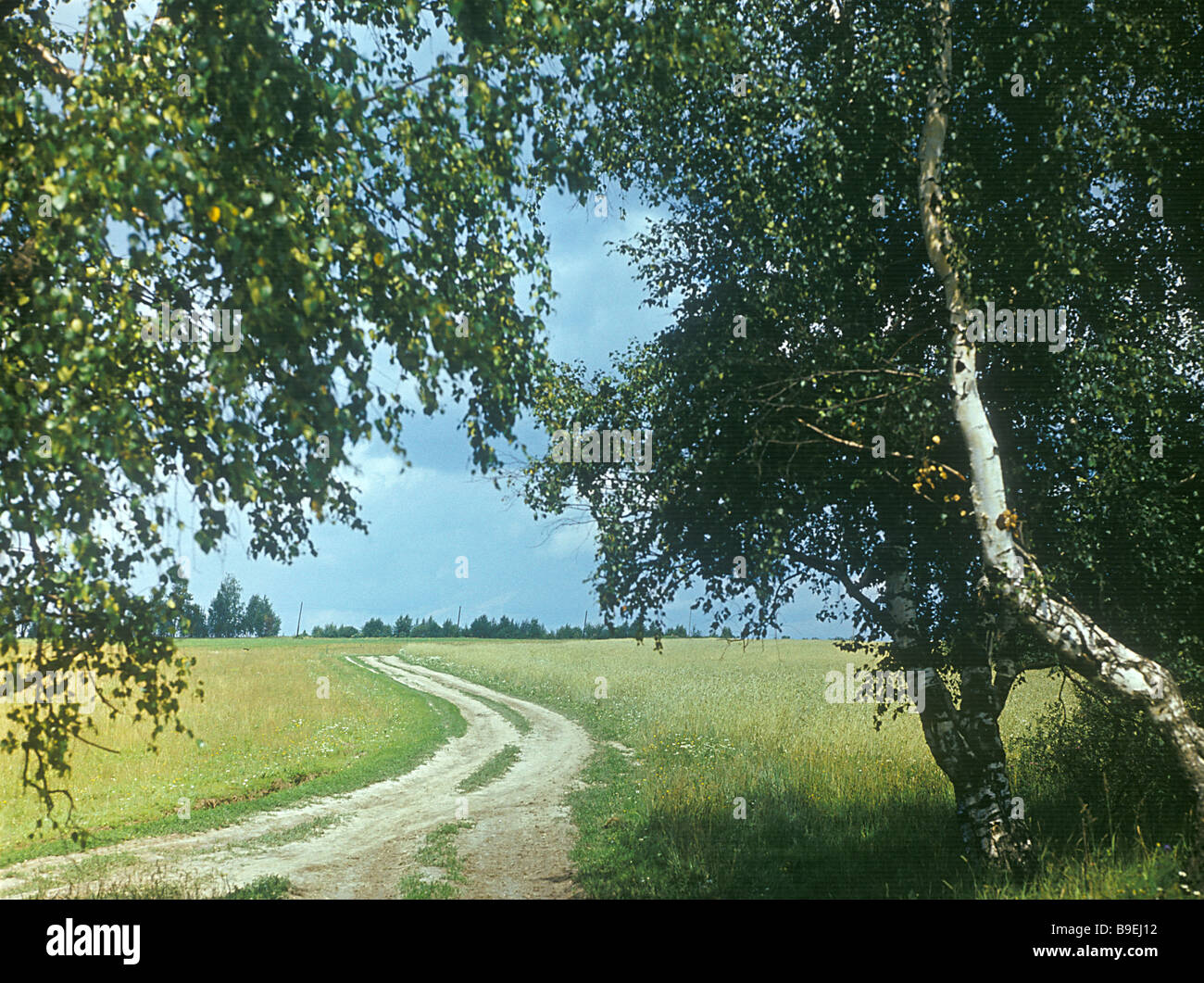 Cart track in a Central Russian plain Stock Photo - Alamy