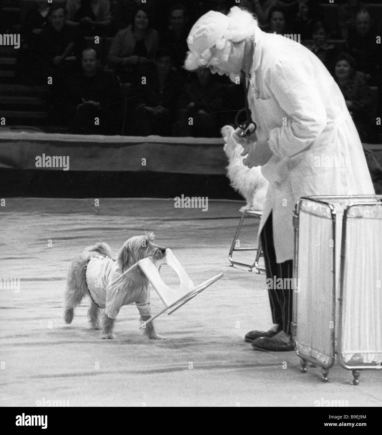 Alexander Popov in the Moscow circus with his performing dogs Stock ...