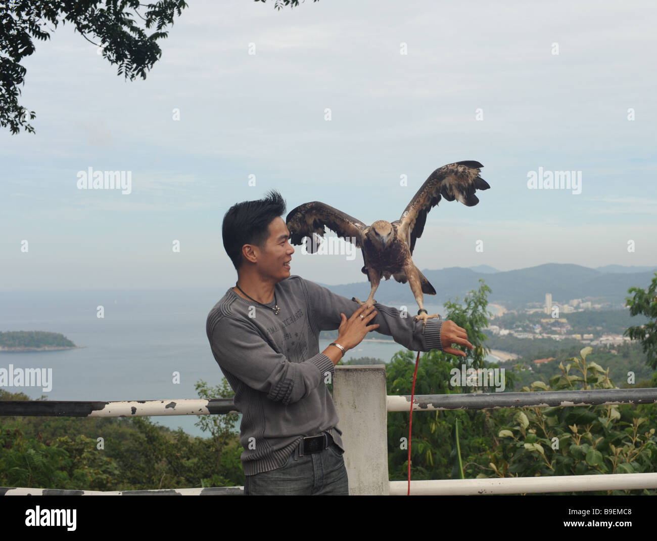 Thai man with hawk at the view point Kata Thani, Phuket Thailand Stock ...